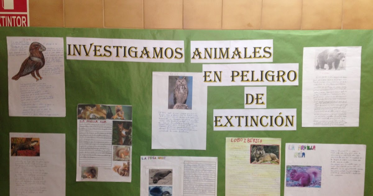 El Patio de 1º y 2º de Educación Primaria: INVESTIGAMOS SOBRE LOS ANIMALES