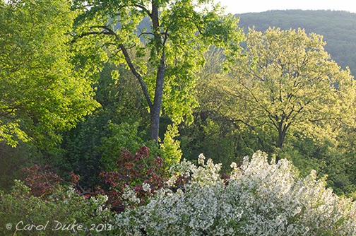 Flower Hill Farm: Indoor Flower Hill Farm Retreat Tour