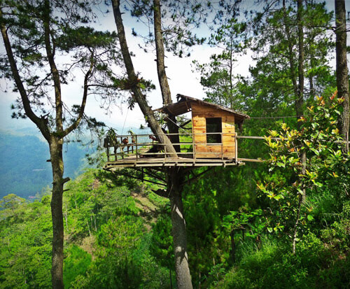 Melihat indahnya Kota Batu dari Rumah Pohon Omah Kayu Paralayang ...