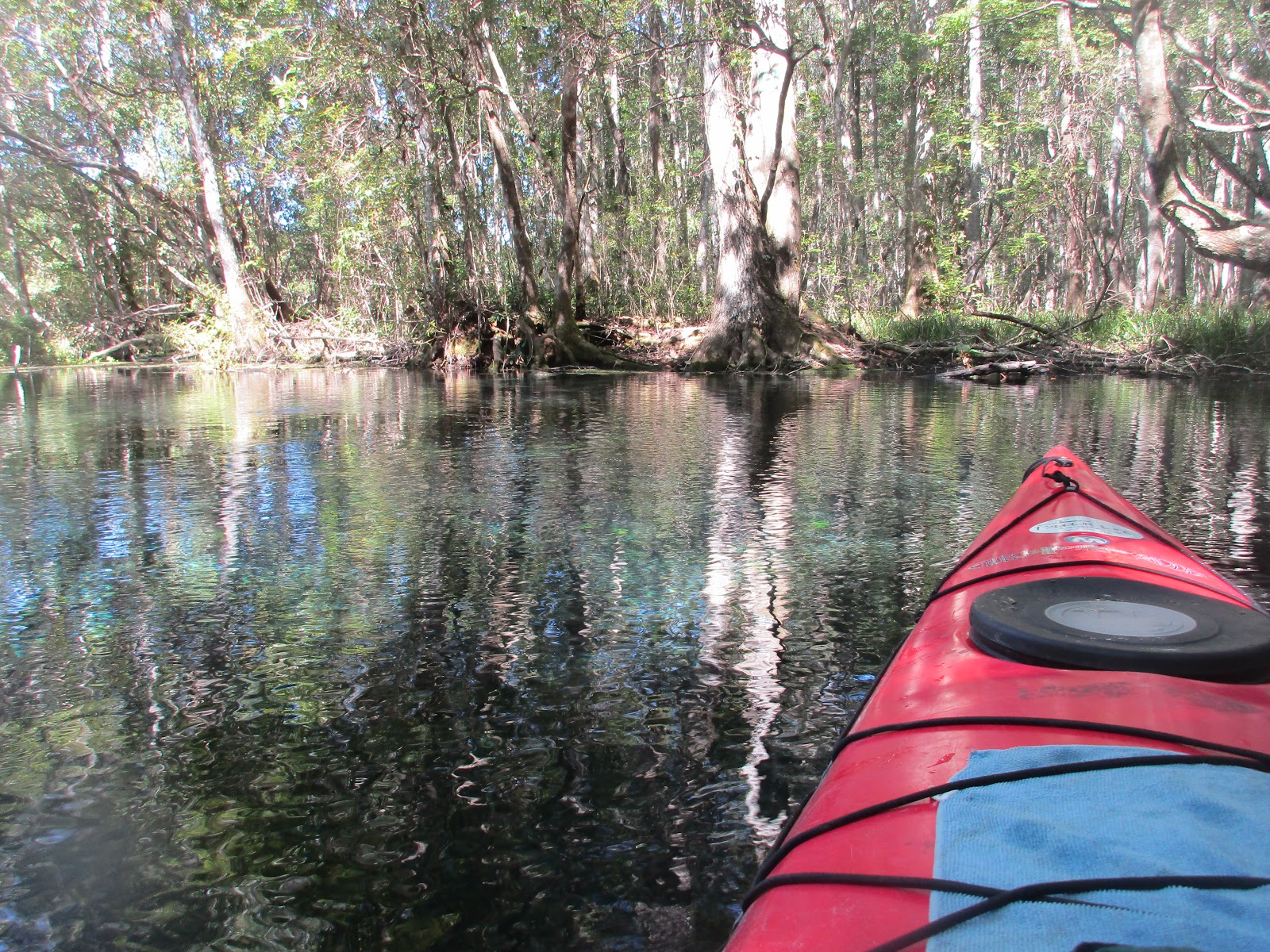 Dave's Yak Tales: Wacissa River