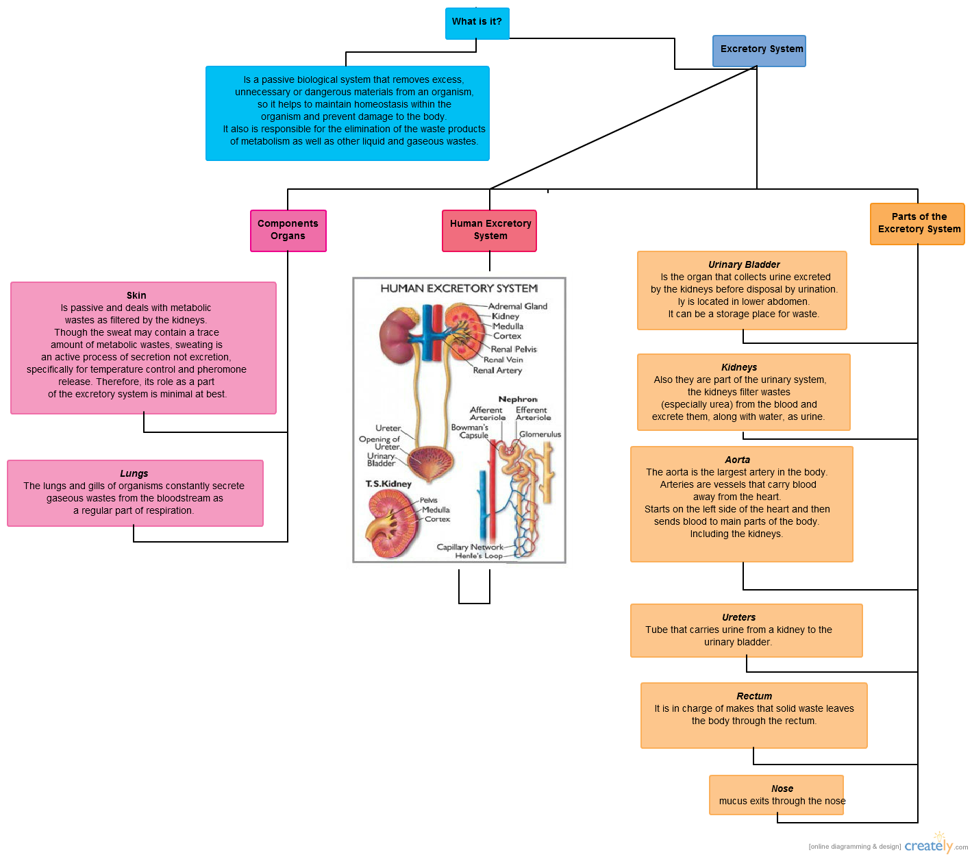 Maria Angelica Mendoza: 2011