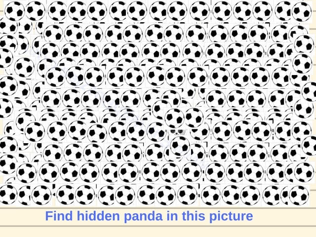 Hidden Faces Picture Puzzles for Kids and Teens-Fun With Puzzles