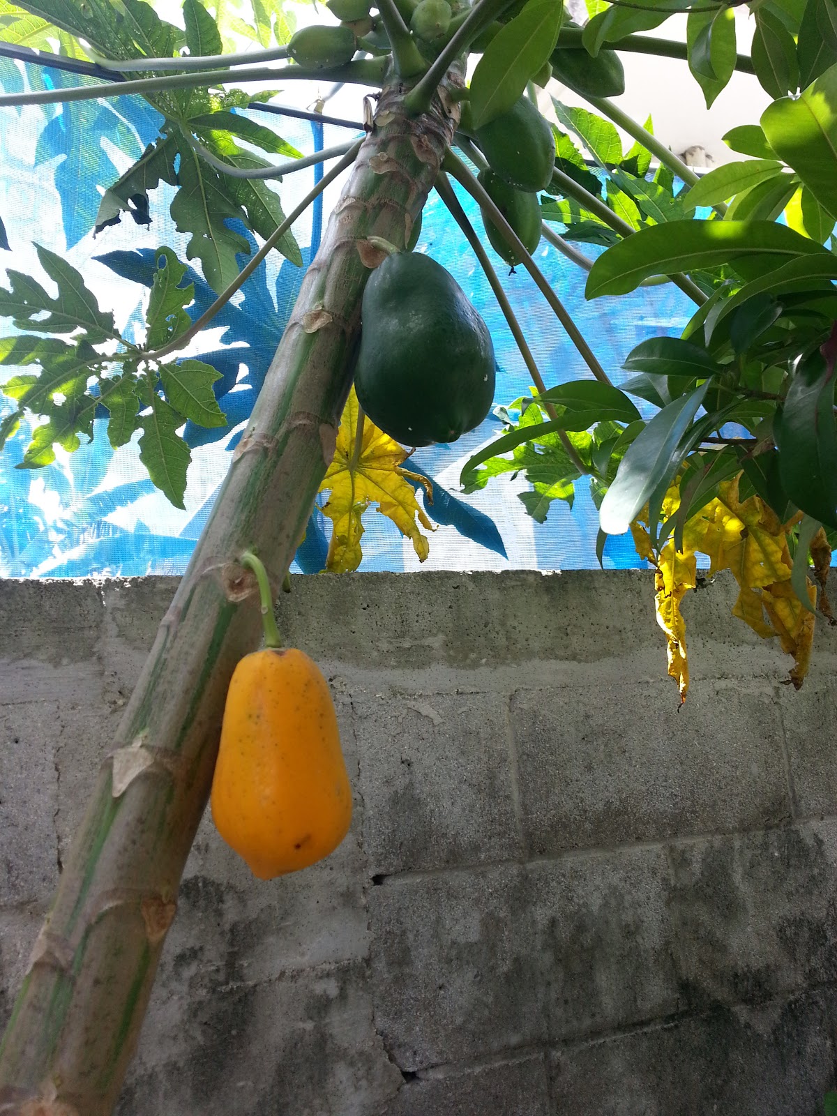 Awan Okinawa berlalu...
