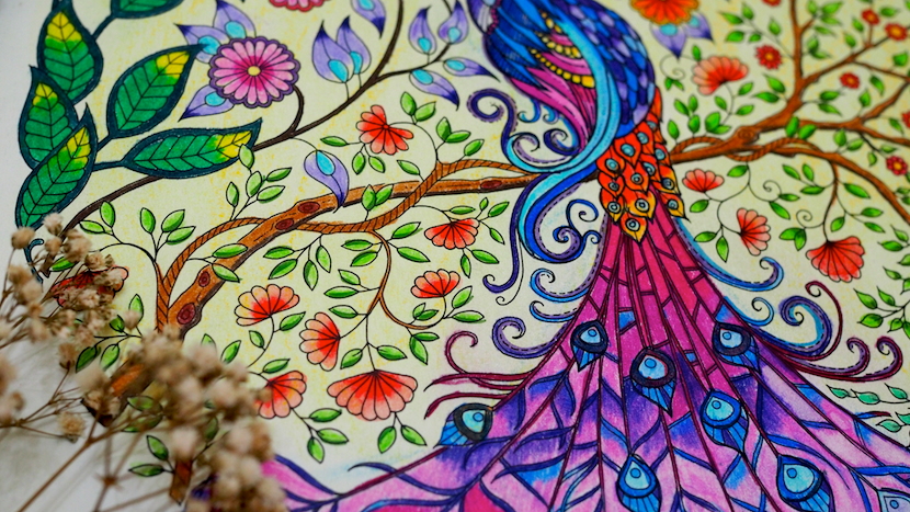 Colouring Addict | How to colour /what I used & Tips for colouring ...