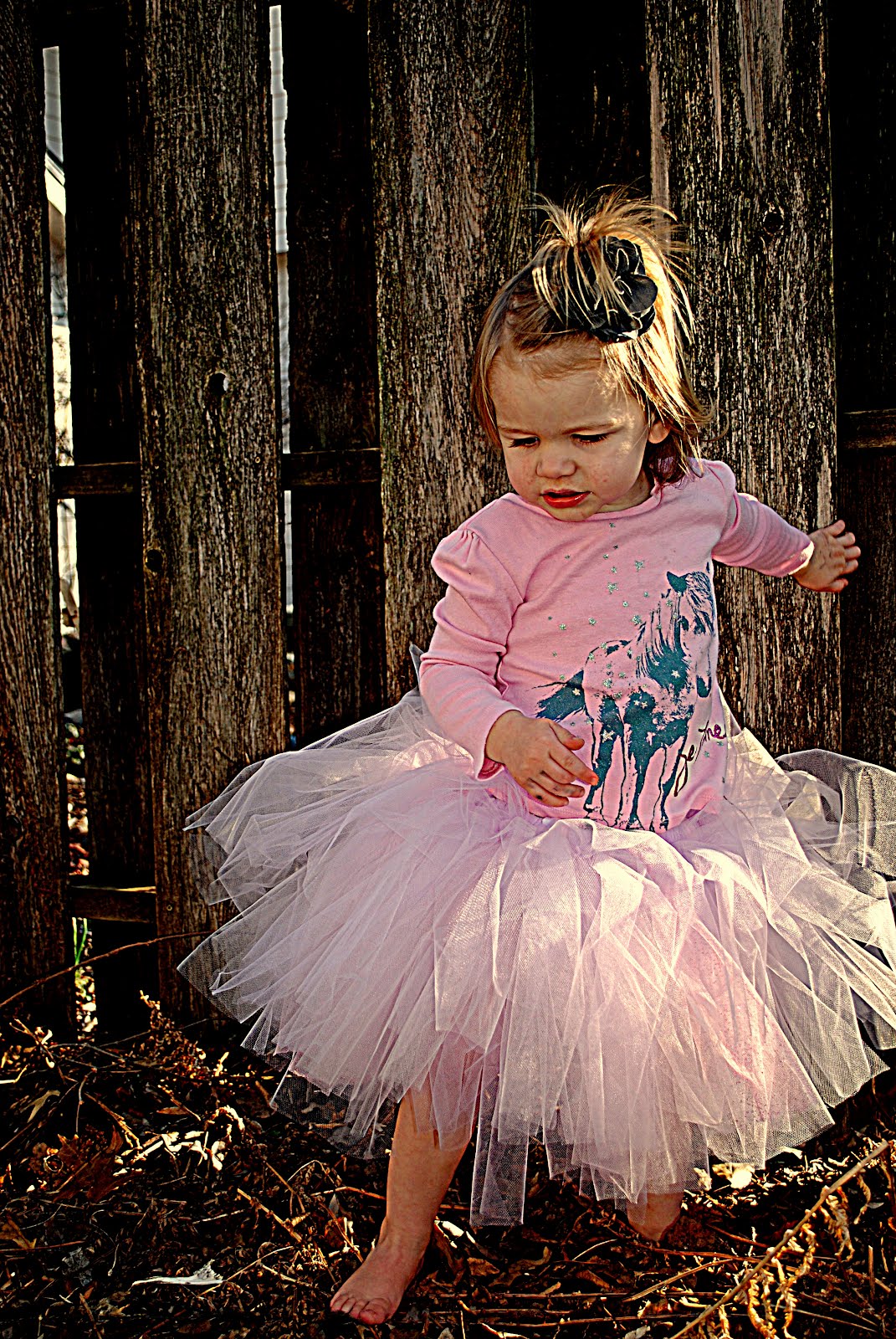 The Evans Family Blog: Tu-Tu girls