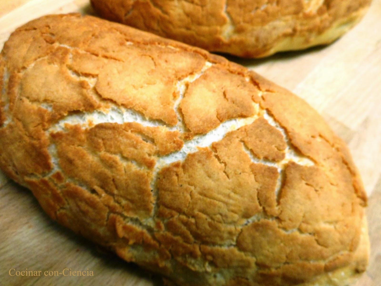 Bake the world 2 (Enero 2015): Pan tigre - Cocinar con-Ciencia