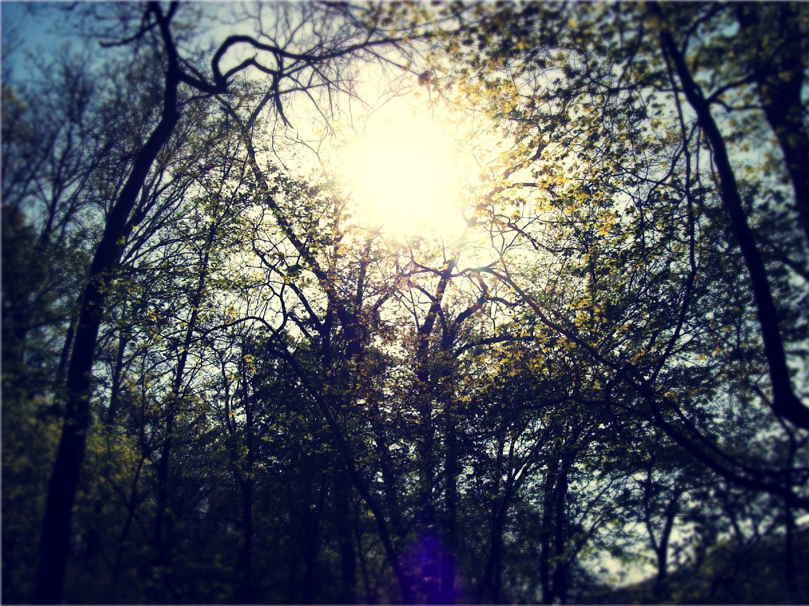 Graphic Design Time: Dominance of Design Element