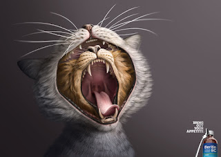 Ilustrações PedroJr: Beritin BC