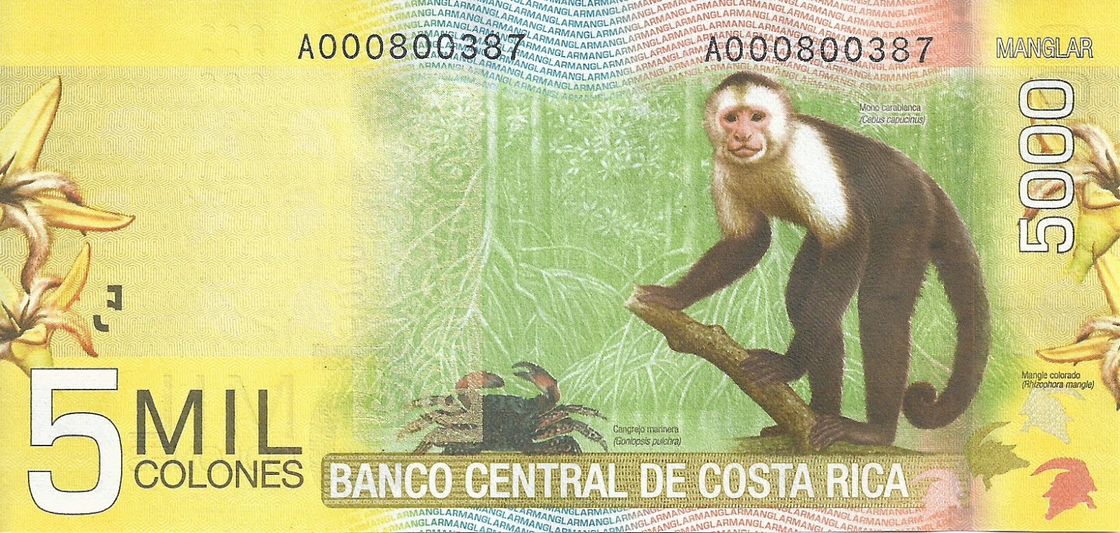 Costa Rica 5000 Colones | Beauty 'n Special Notes