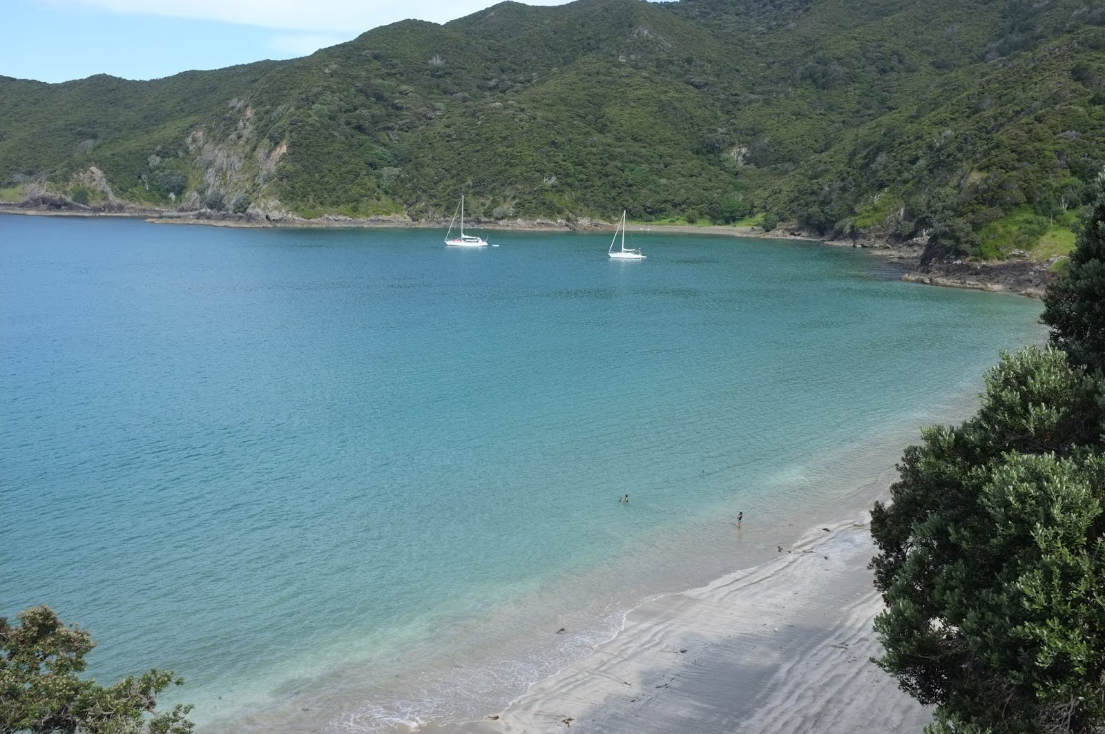 Around New Zealand: Far North - Russell to Puriri Bay