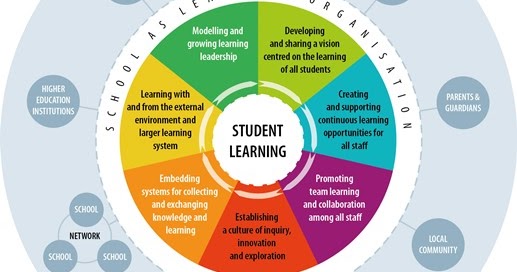 How to transform schools into learning organisations? - Education News