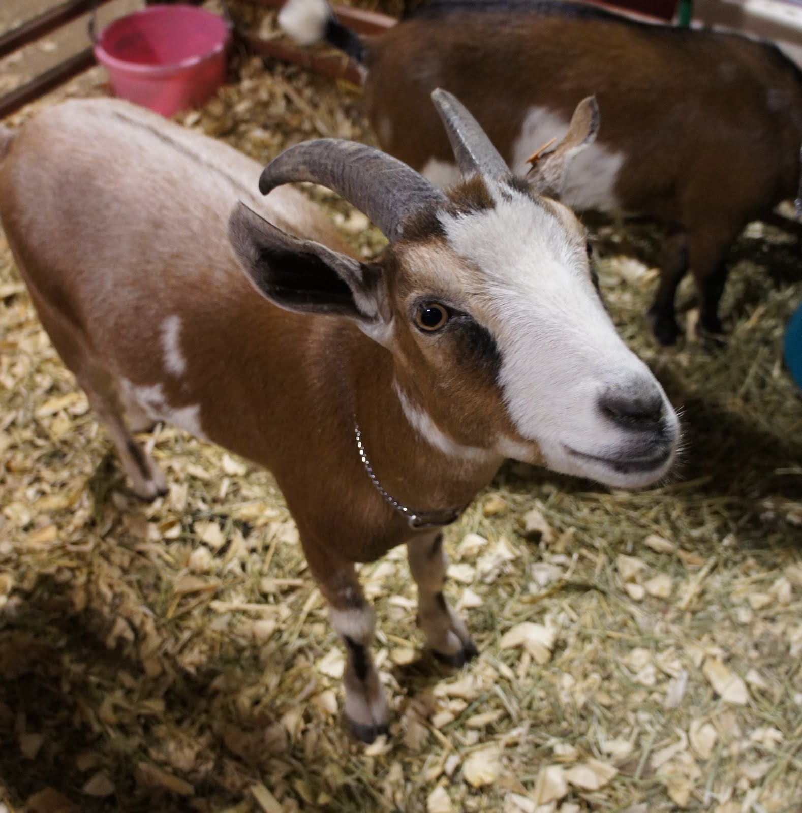 Does This Make My Blog Look Fat?: September 2011