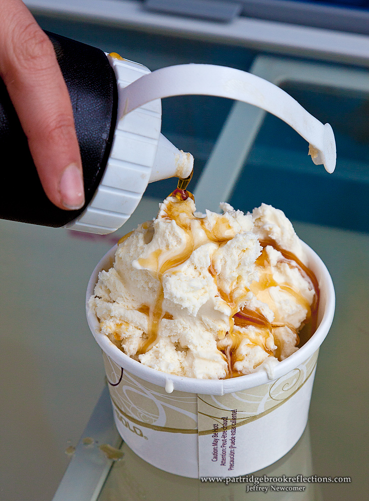 Getting it Right in the Digital Camera : Fresh Sap