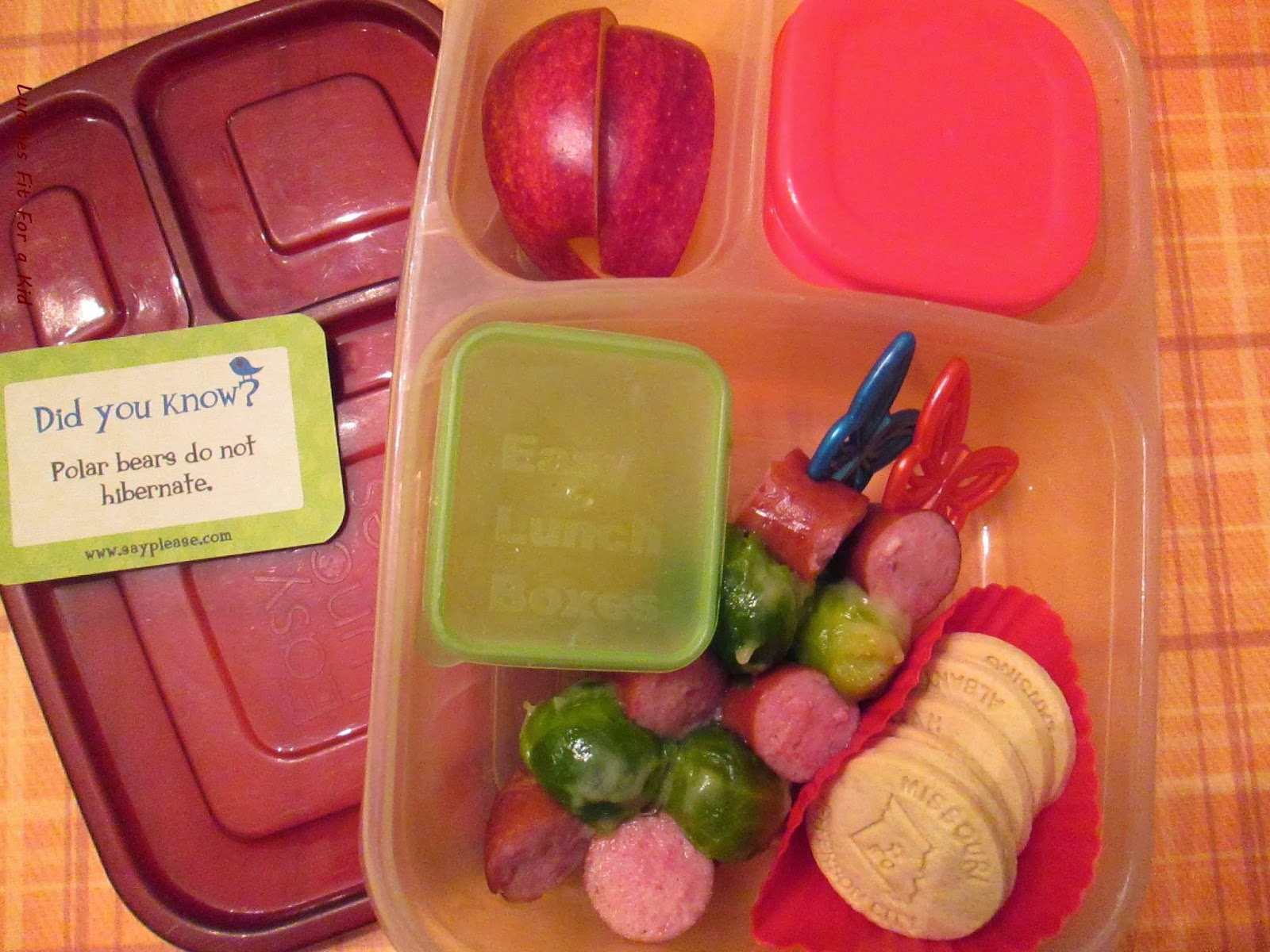 Lunches Fit For a Kid: Lunches: 11.6.13 - PLUS Dick & Jane Educational ...
