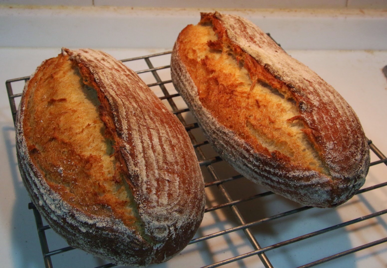 Cocina de contrastes: Pan de Espelta 100%, con Biga y Escaldado