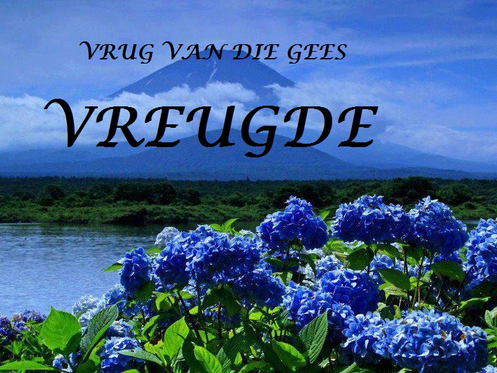 Leef vir vandag: VRUG VAN DIE GEES : VREUGDE