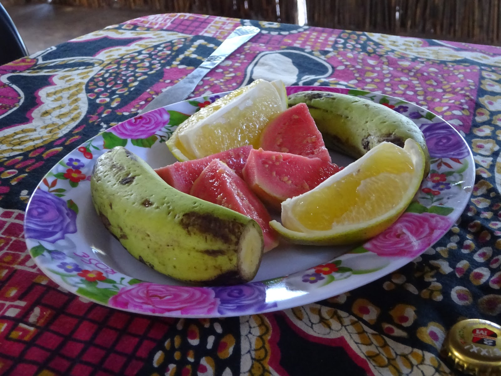 Moçambique: Por terras de Acácias (parte 2) - AQ