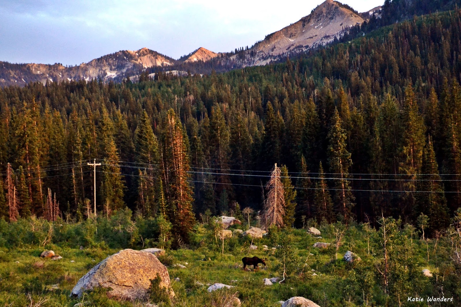 Katie Wanders : Hike to Blood Lake and Lackawaxen Lake - Guardsman Pass ...