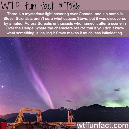 60 Crazy Facts To Truly Blow Your Mind! | Amazing WTF Facts