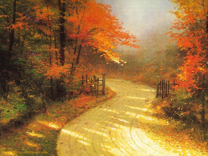 Elizabeth Miles Author Interview ~ JeanBookNerd