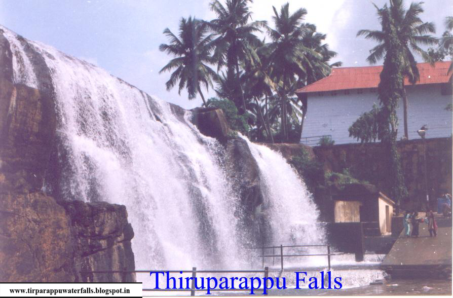 Tirparappu Water Falls: Falls Image