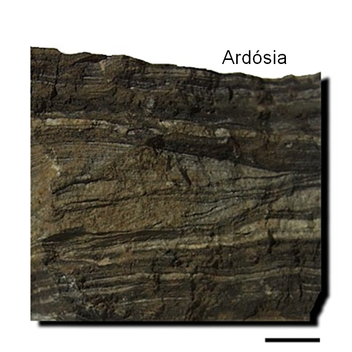 As Rochas e a Vida: Texturas das Rochas Metamórficas