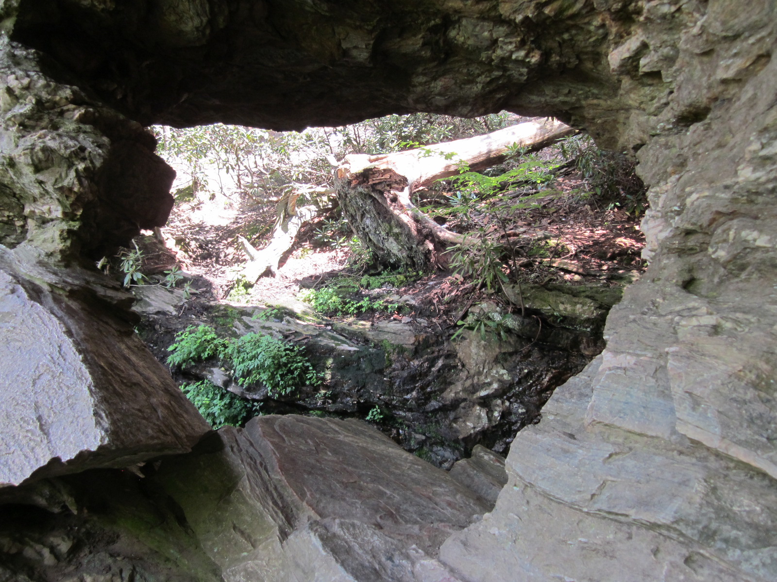 Travel NC With Kids: Hanging Rock State Park Window Falls Hiking Trail