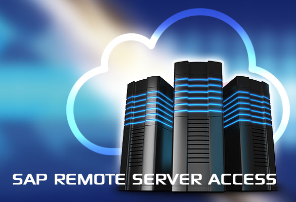 SAP S/4 HANA 1809 Server Access: SAP EWM 9.5 Server Access