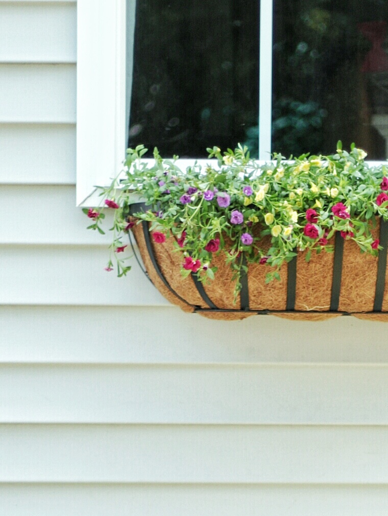Our Backyard: Quick and Easy FULL Window Boxes - Made by Carli