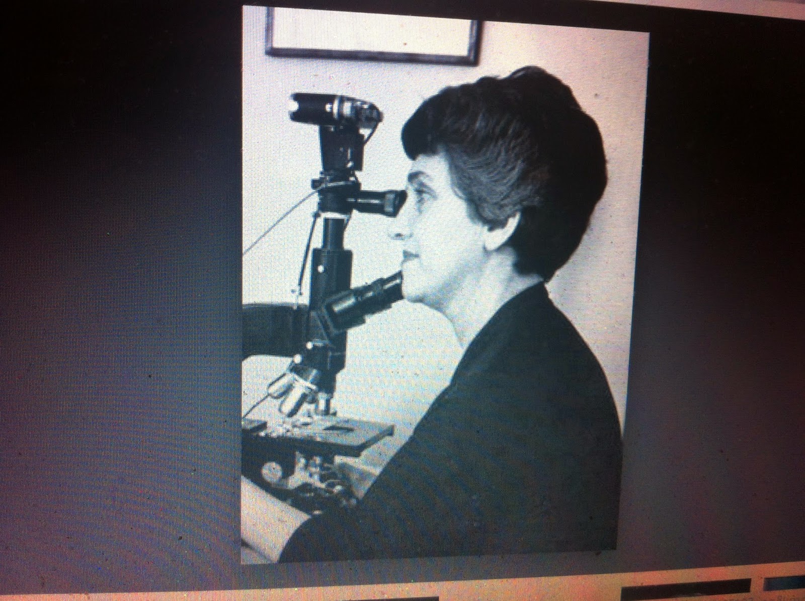 THE BLACK SOCIAL HISTORY:: BLACK SOCIAL HISTORY : AFRICAN AMERICAN ...