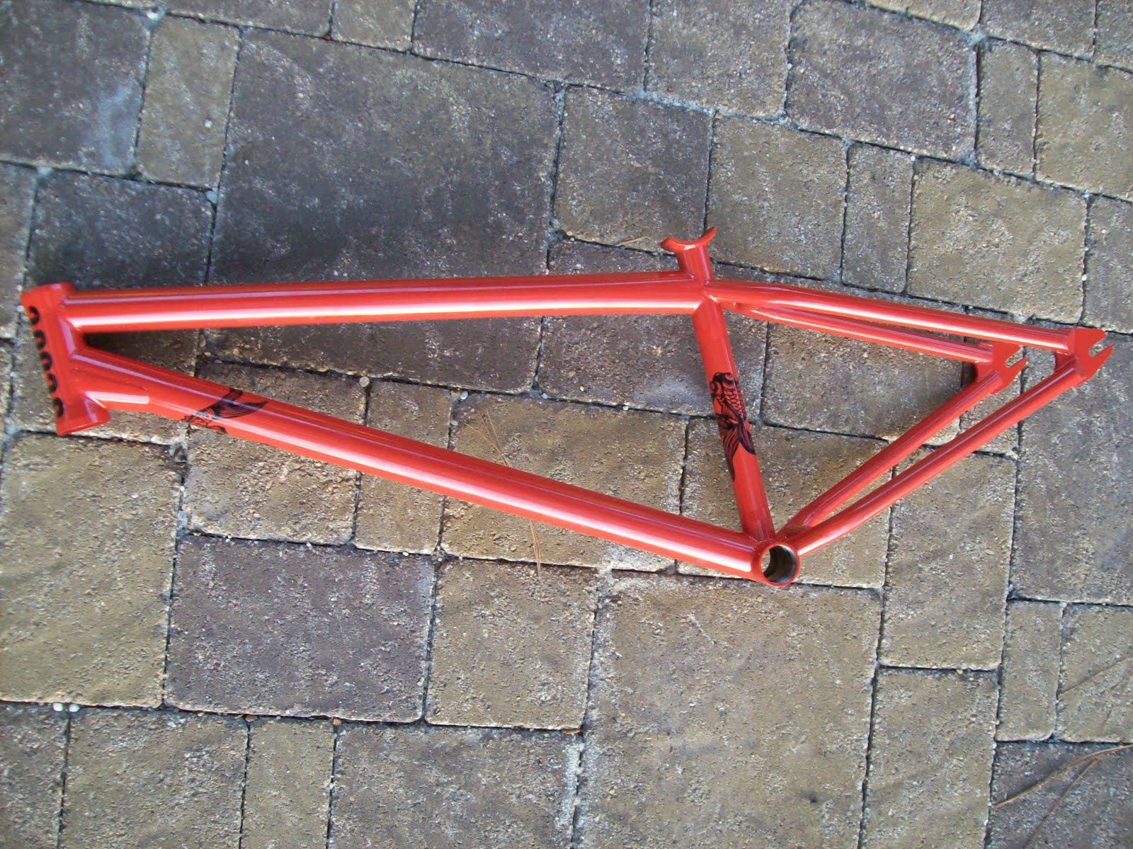 STOUT: Custom Frames