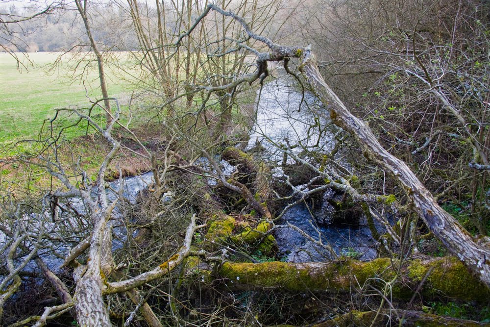 Nick Owen's Nature Blog: Two vast and trunkless legs of stone stand in ...
