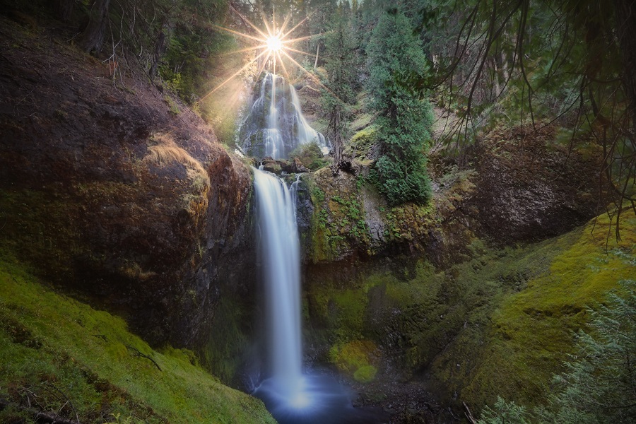 Casa Escuela La Loba: Ganieda (Gwenddydd)