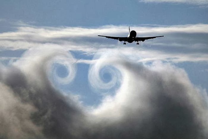 mechXing: wing tip vortices