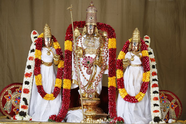 stotram mantram: Lord Sri Kalyana Venkateswara Swamy Brahmotsavam 2012 ...