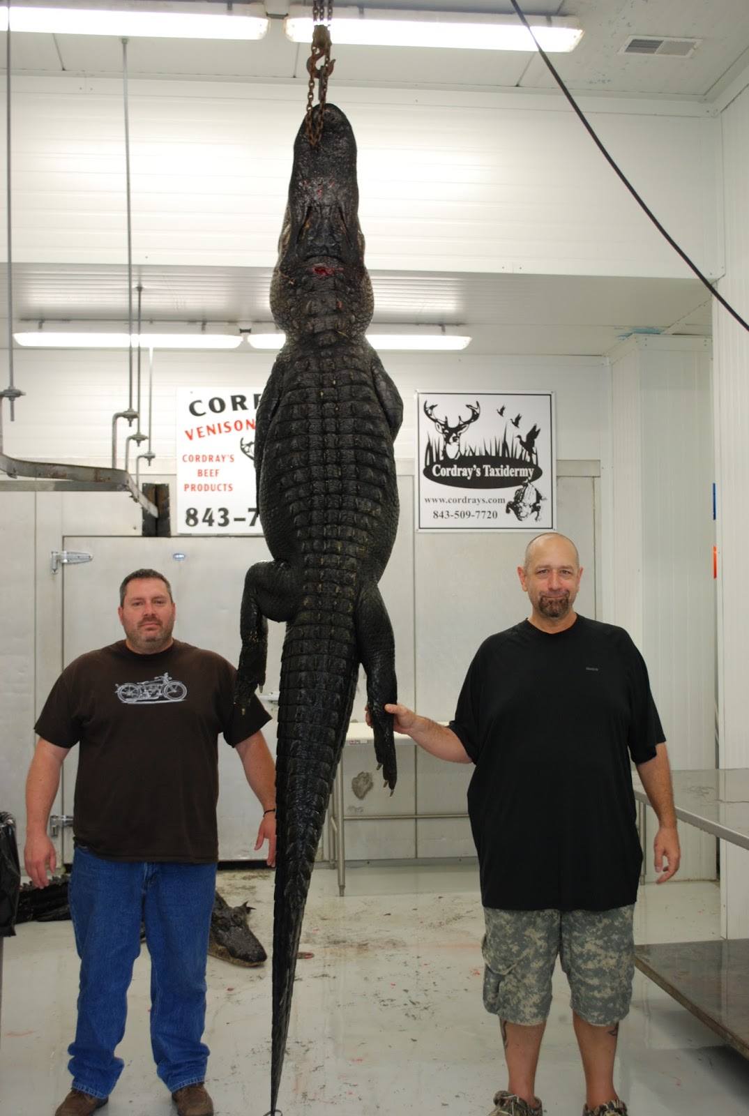 Cordray's: Richard and Robert Gotts took 2 big gators during the ...