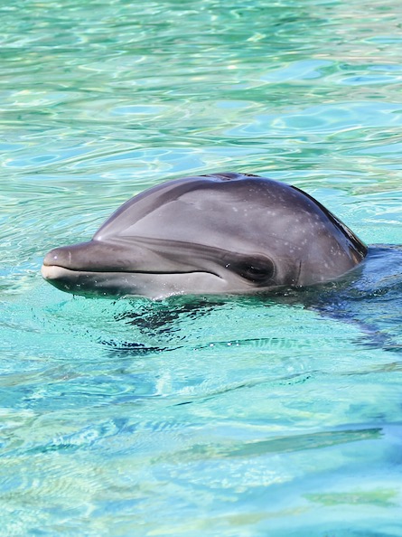 San Diego Photo Diary (SeaWorld & Beach) - The Trendy Chick