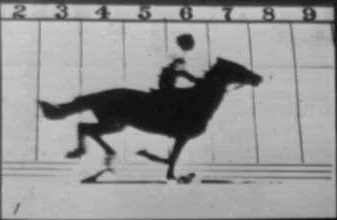 The Development of 2D Animation