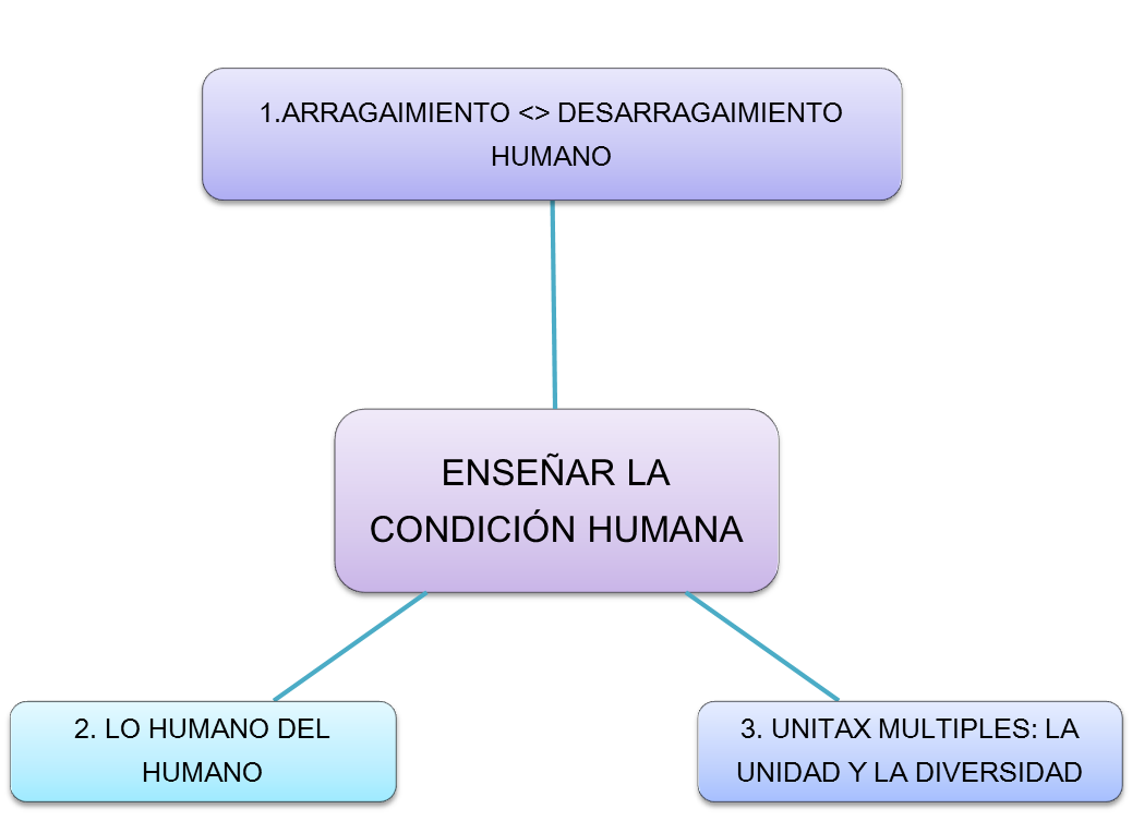 Portafolio del Estudiante "E": CAPITULO III ENSEÑAR LA CONDICIÓN HUMANA