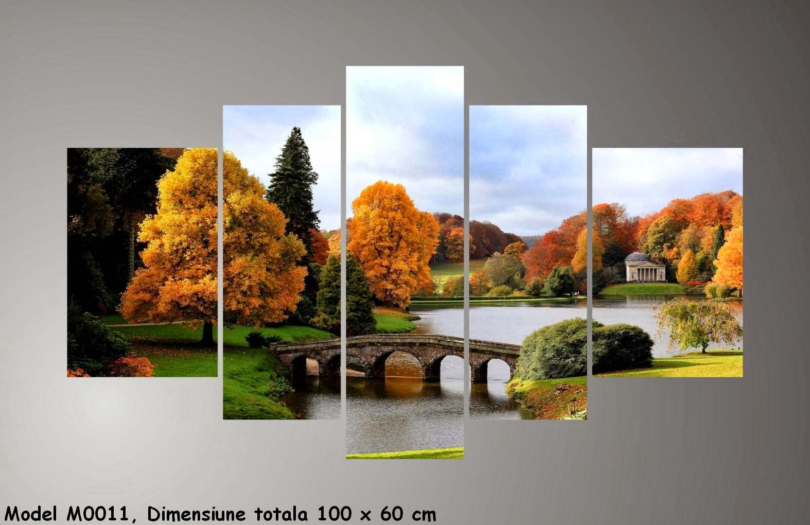 Tablouri Moderne Timisoara: Tablouri moderne Buzias