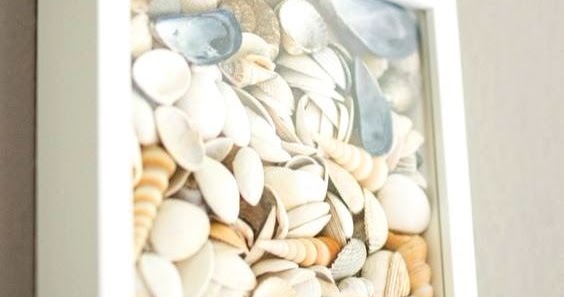 Simple Seashell Shadow Box Ideas