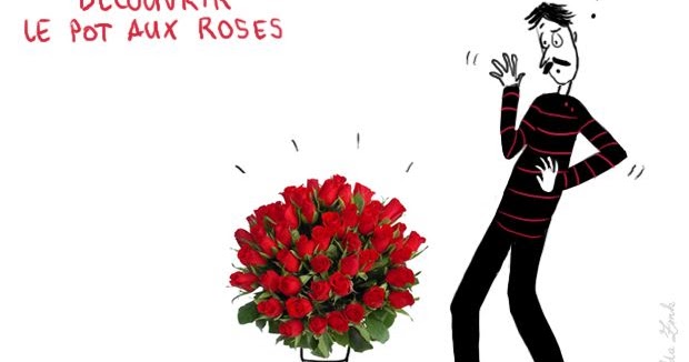 LE COQ PICORE: EXPRESSION IDIOMATIQUE: "DÉCOUVRIR LE POT AUX ROSES"