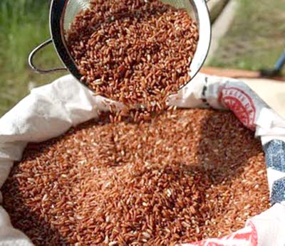 Benefits of Brown Rice - Health Food Nutrition