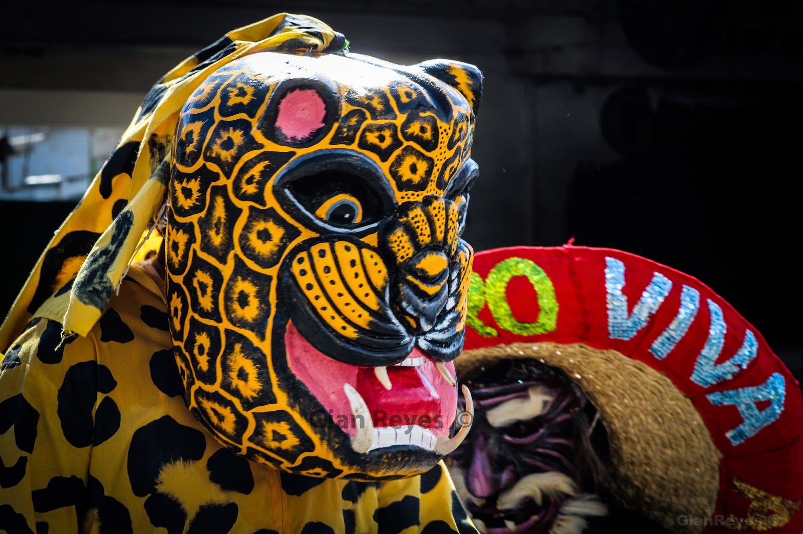 FoToRAma: Máscaras de Tecuan#Tigre#Jaguar