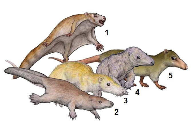 Outras Verdades Inconvenientes