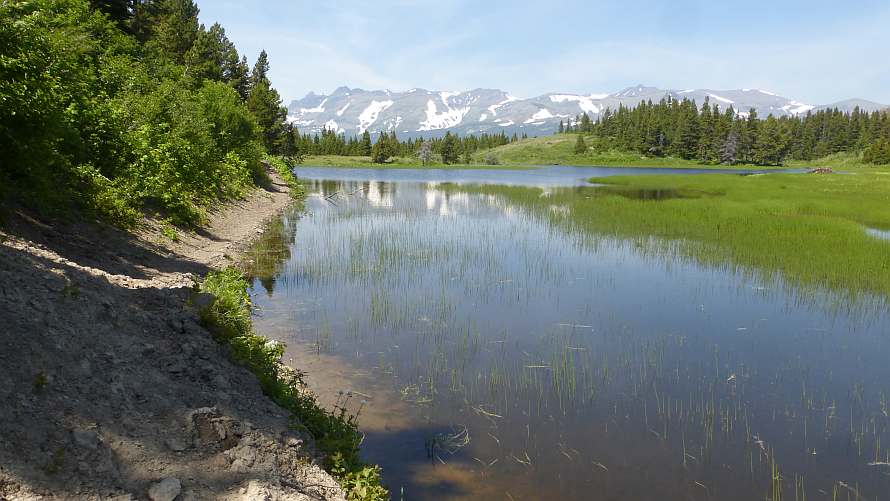 Tall Pines Hiker: Buffalo Lakes