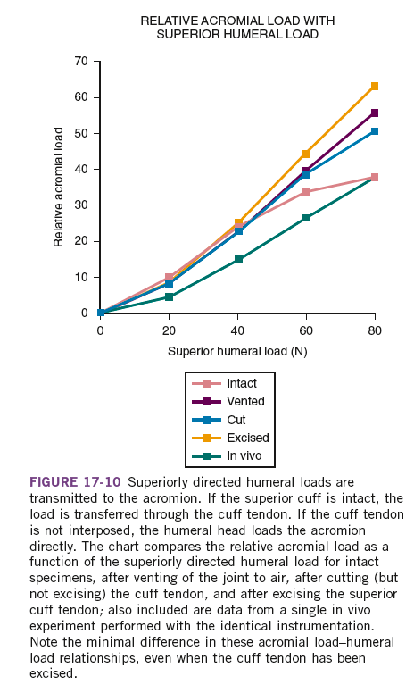 UW Shoulder and Elbow Academy: What is pseudoparalysis, anyway?