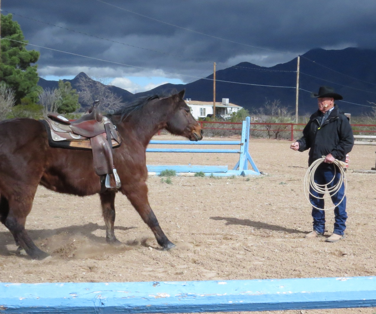 Functional Horsemanship: Three Hours with John Lyons
