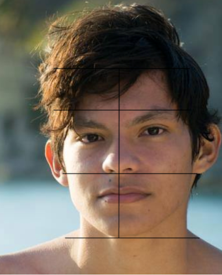 INTRODUCCIÓN A LA ODONTOLOGÍA.