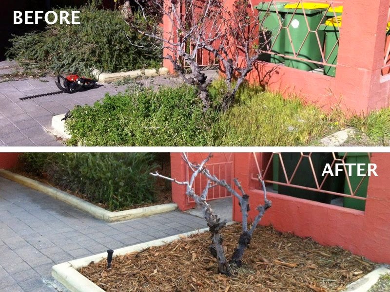 Mitchs Gardening: Gardening Services Perth That Help You Choose the ...